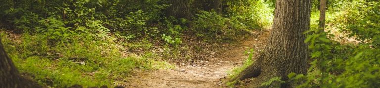 Boeken » Voor Professionals